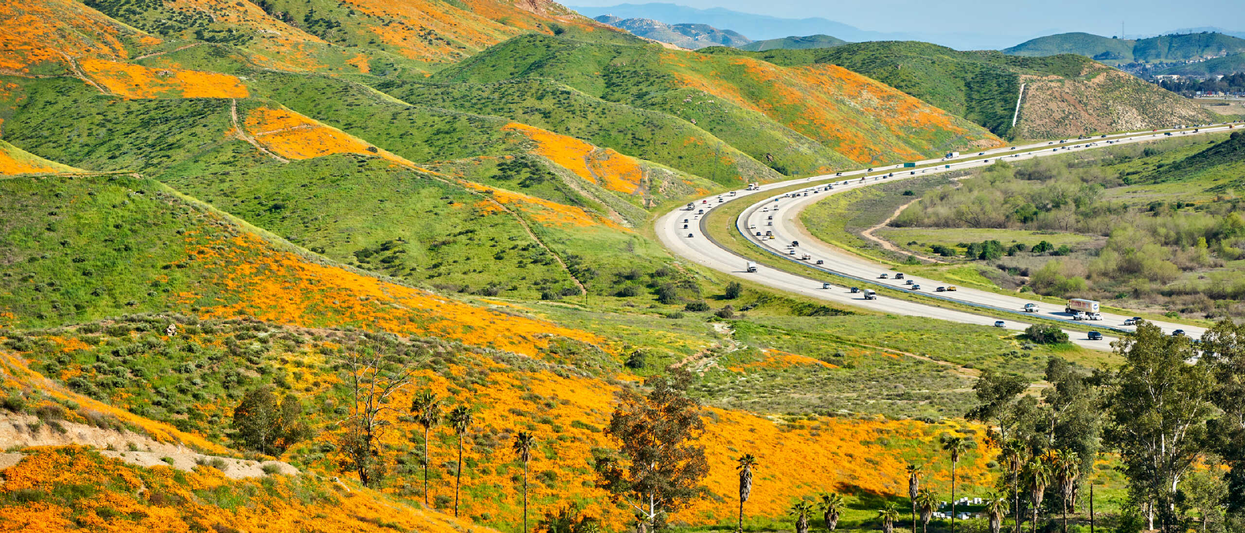 Meet in Magical Murrieta! - Small Market Meetings